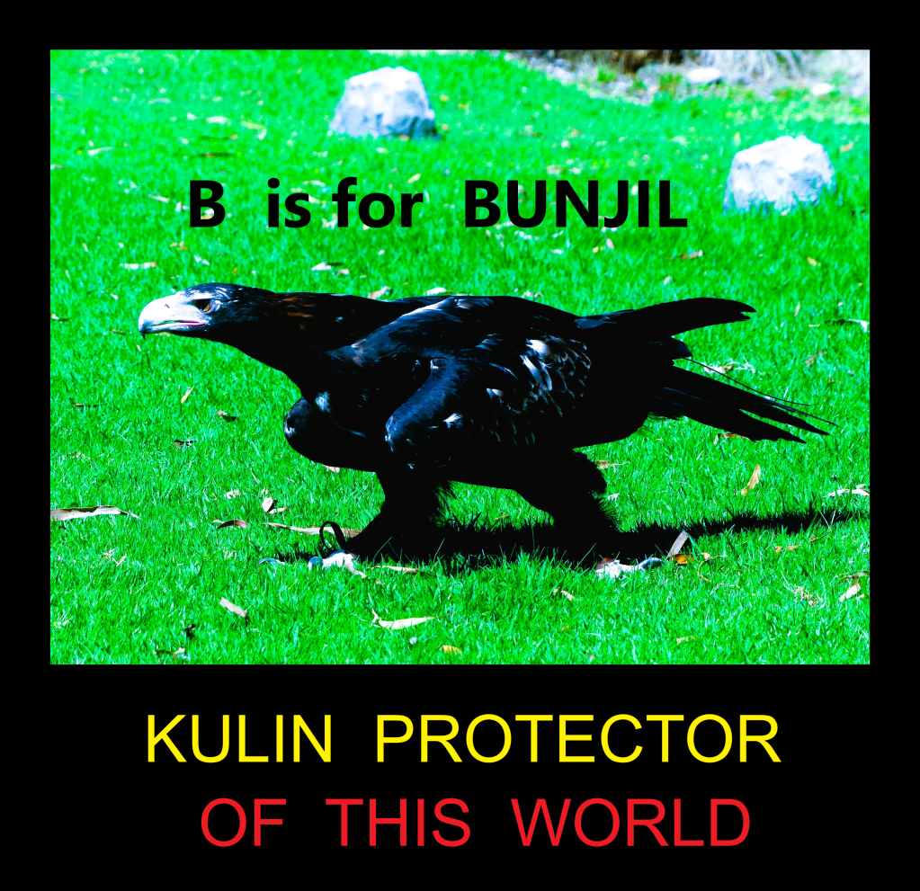 An A to Z of Animals For Anna: B is for BUNJIL – ALL ANIMALS ARE ...